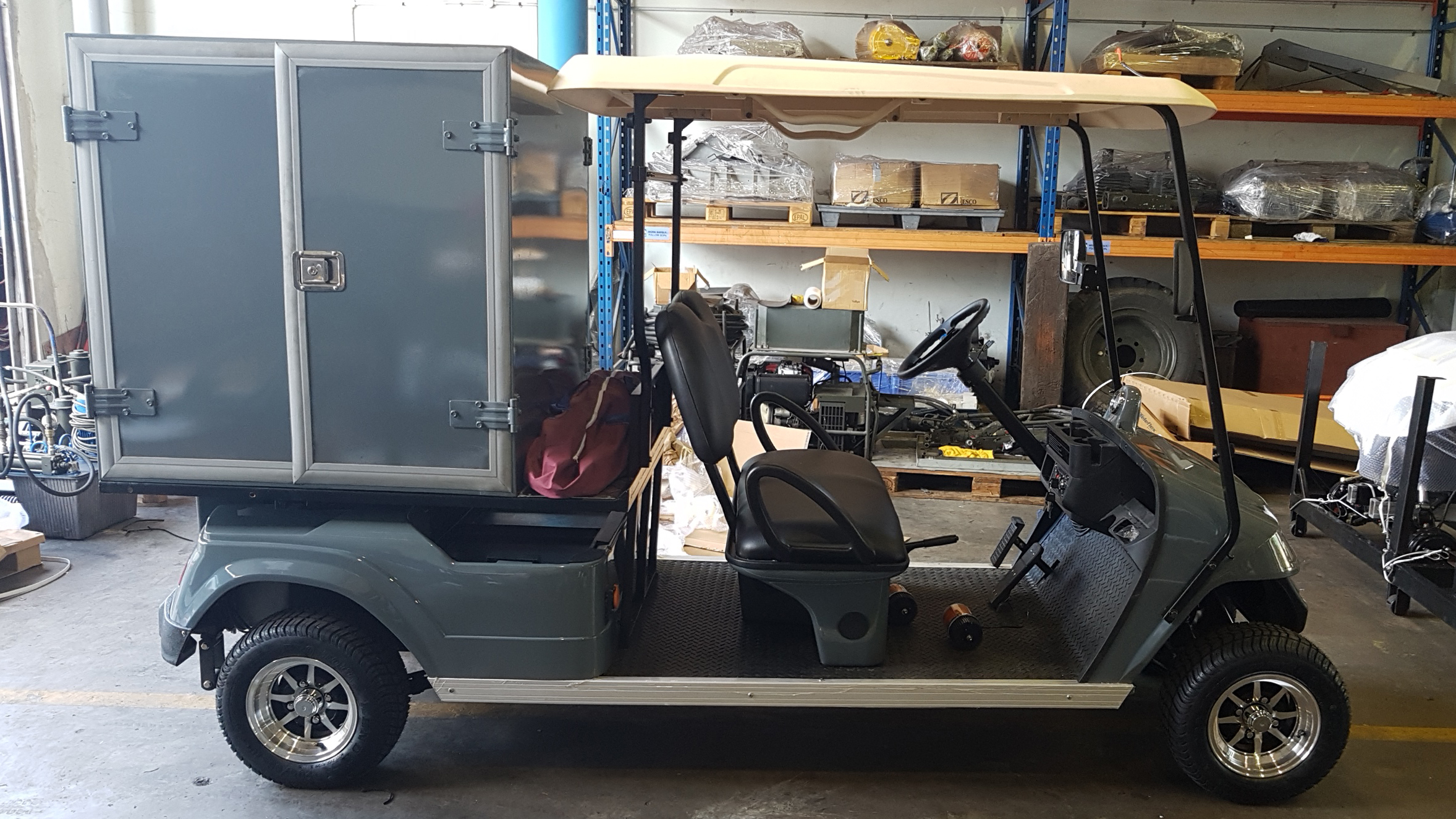 Electric Buggy – POWER FORCE TECHNOLOGIES PTE LTD