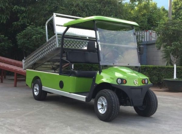 Electric Buggy – POWER FORCE TECHNOLOGIES PTE LTD