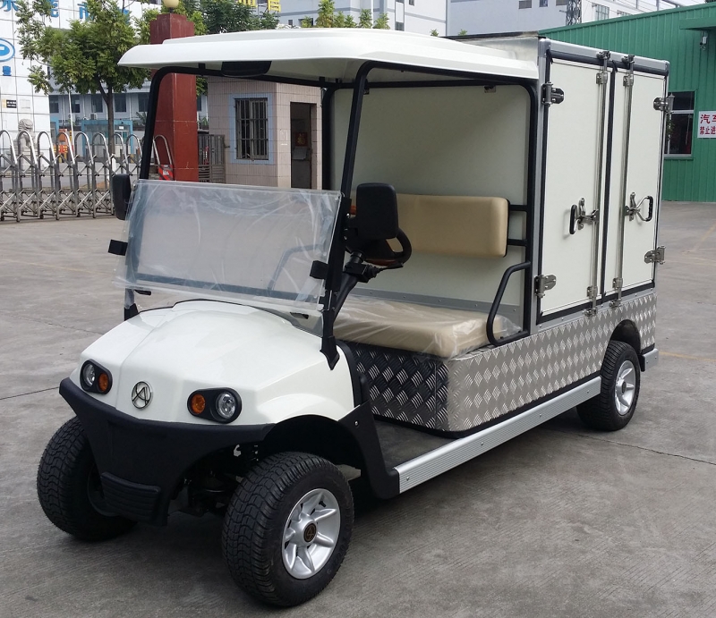 Electric Buggy – POWER FORCE TECHNOLOGIES PTE LTD