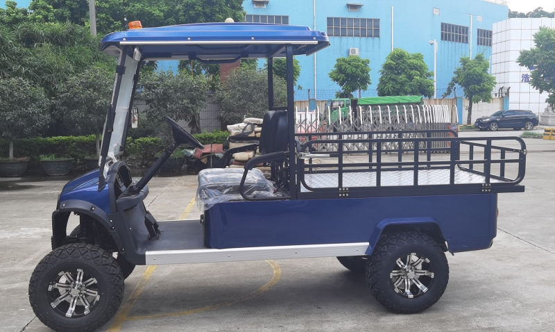 Electric Buggy – POWER FORCE TECHNOLOGIES PTE LTD