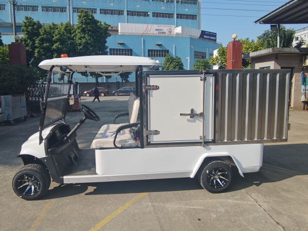 Electric Buggy – POWER FORCE TECHNOLOGIES PTE LTD