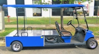 Electric Buggy – POWER FORCE TECHNOLOGIES PTE LTD