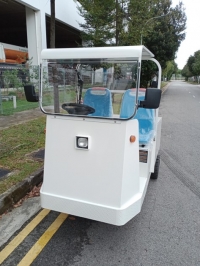 Electric Buggy – POWER FORCE TECHNOLOGIES PTE LTD