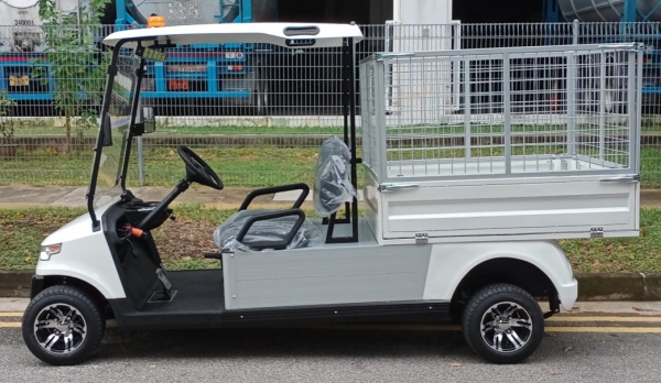 Electric Buggy – POWER FORCE TECHNOLOGIES PTE LTD