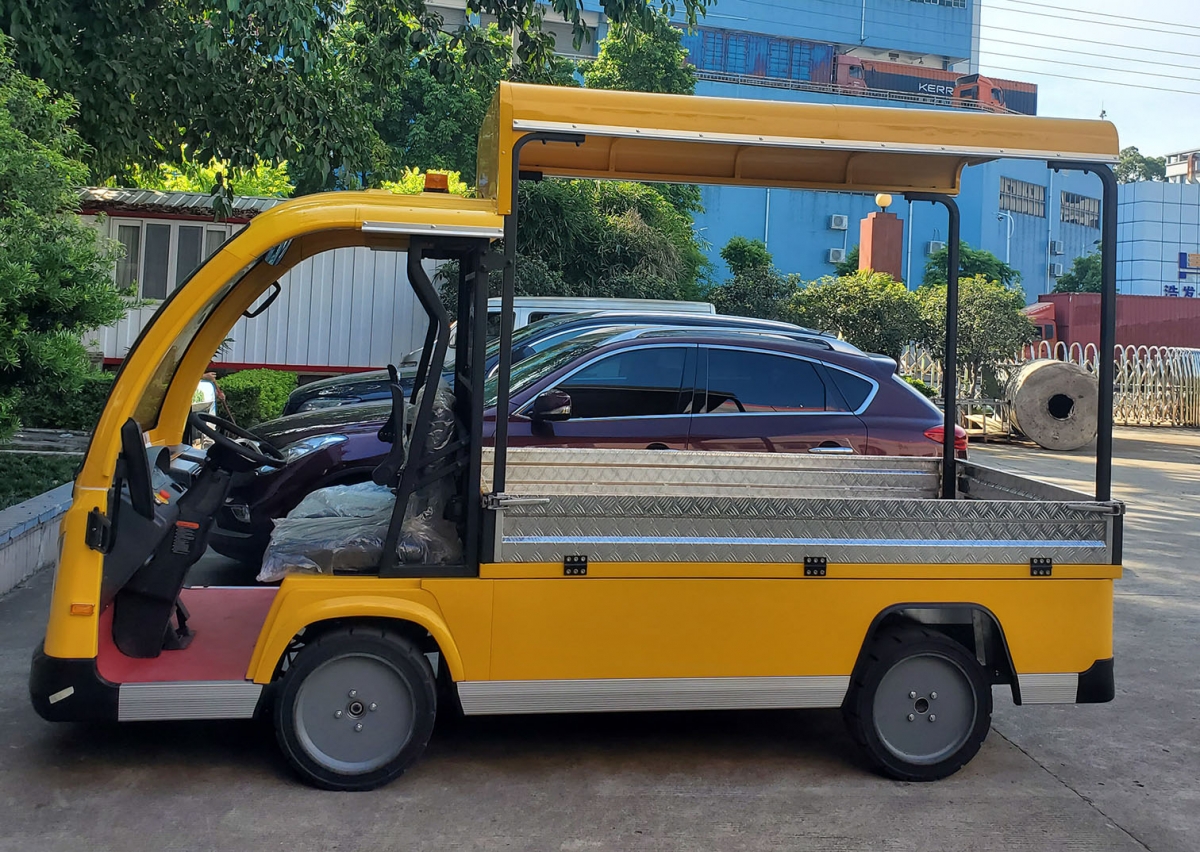 Electric Buggy – POWER FORCE TECHNOLOGIES PTE LTD